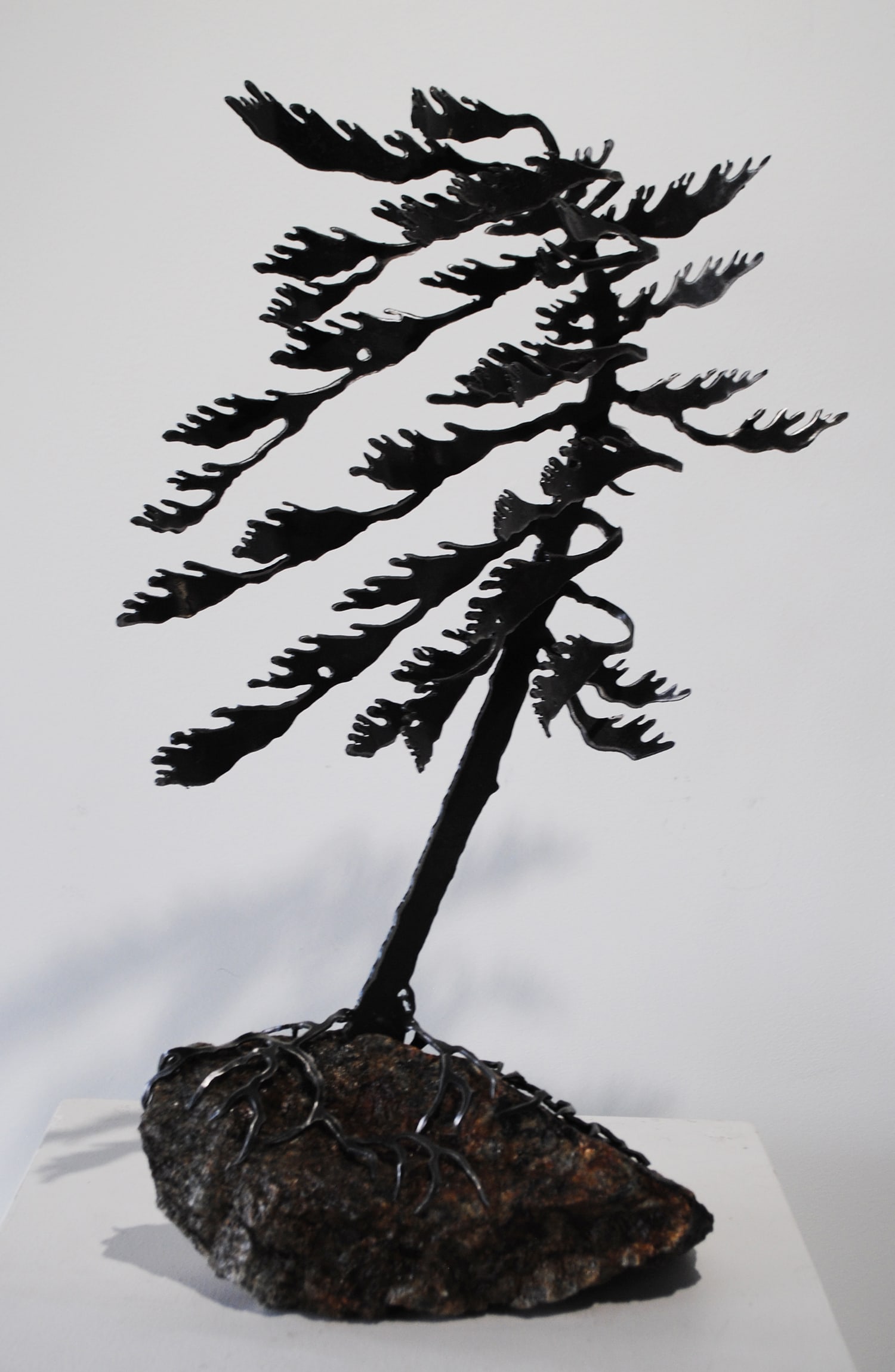 Windswept Pine (one) On Stone (193174) – Crescent Hill Gallery